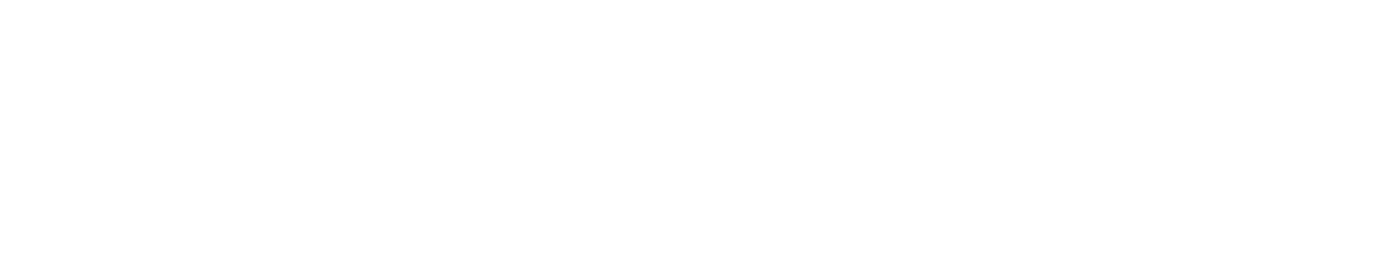 Epic Lumens Endoscopy - and NewCura's EndoManager®